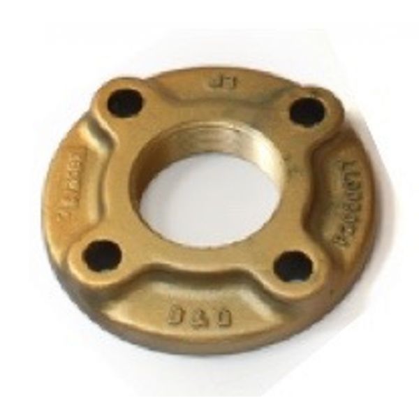 Xylem-Bell & Gossett 101509Lf-3 Inch S.S. Flange Set | PartsHnC