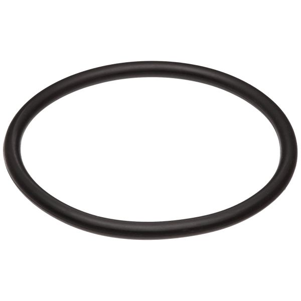 NAVIEN 20018013A O-Ring Silicone BI 031.7X03.5 | PartsHnC