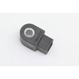 Wayne Combustion 100885-002-Oil Valve Coil 230V | PartsHnC