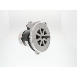 Wayne Combustion 24005-001-1/4Hp 115V 60Hz 3450Rpm Motor | PartsHnC