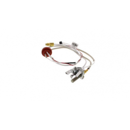 Rheem-Ruud SP21058 Pilot Assembly Replacement Kit | PartsHnC